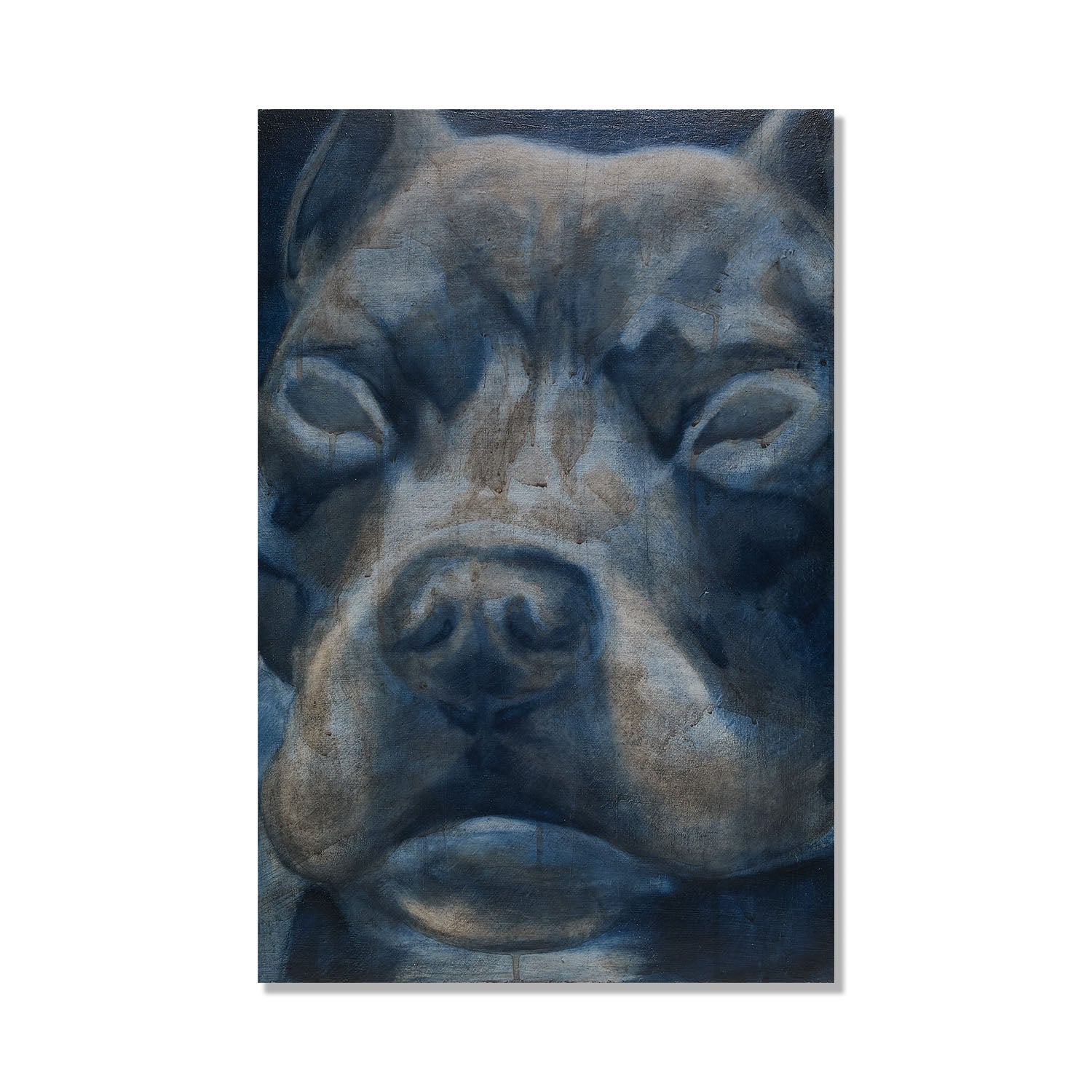 Leyla Fischer – 4BYSIX